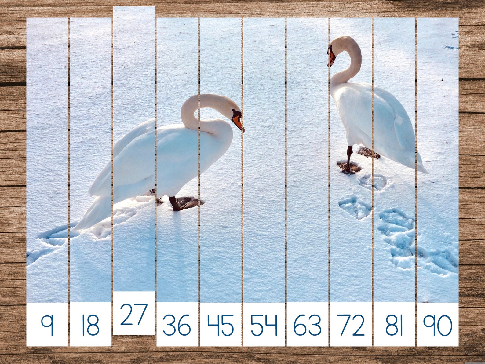 Winter Birds Skip Counting Puzzles (montessori Math Printable) - Etsy