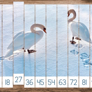 Winter Birds Skip Counting Puzzles (montessori Math Printable) - Etsy