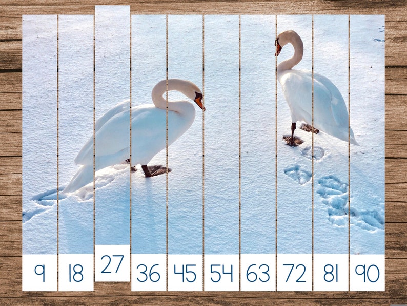 Winter Birds Skip Counting Puzzles montessori Math Printable - Etsy