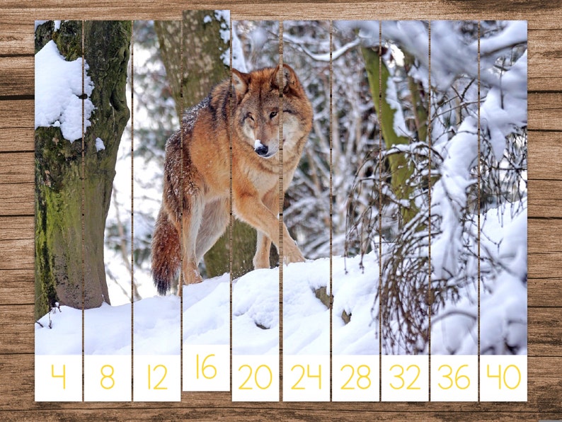 Winter Forest Skip Counting Puzzles (montessori Math Printable) - Etsy