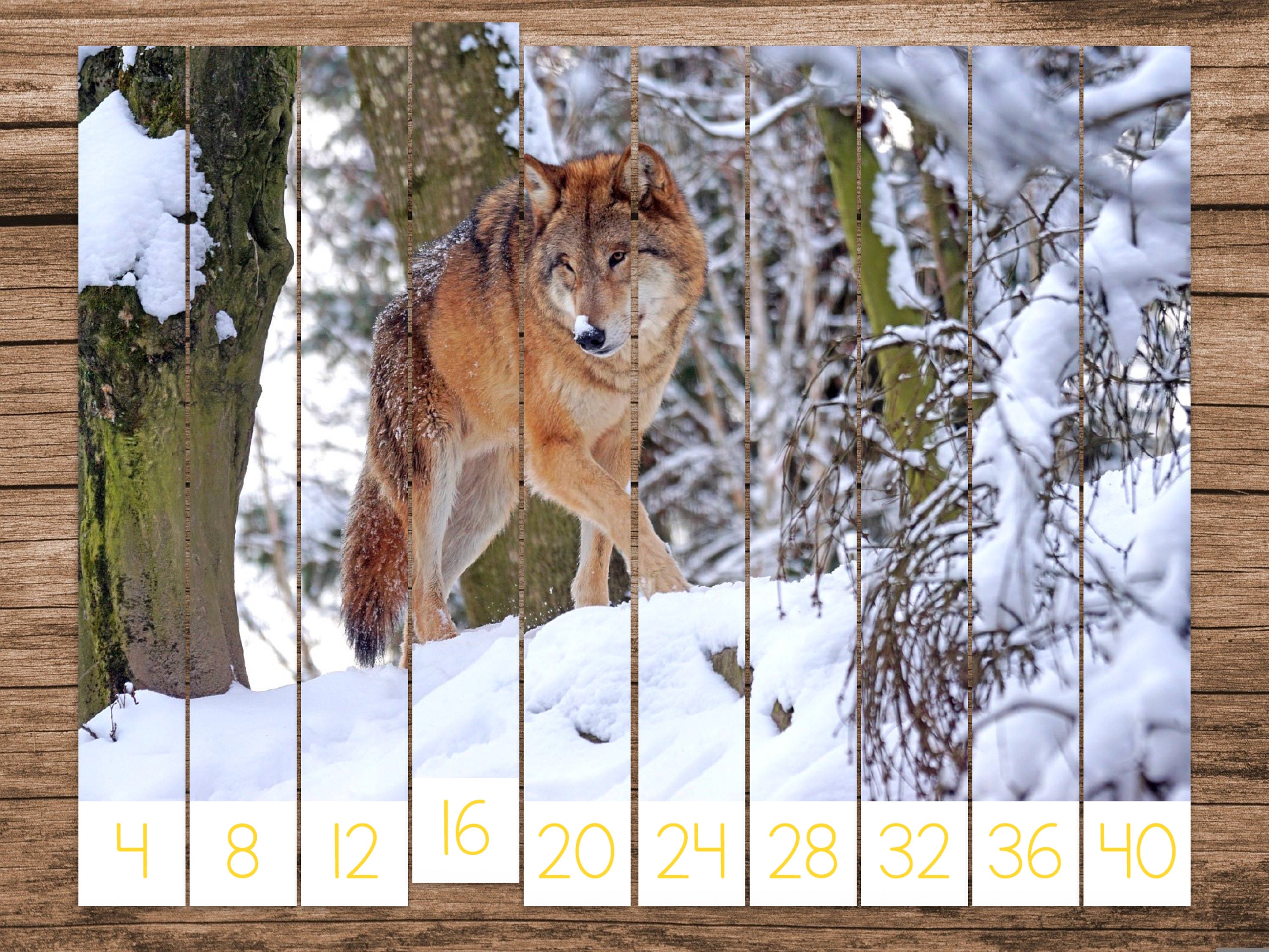 Winter Forest Skip Counting Puzzles (montessori Math Printable) - Etsy