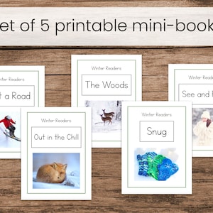 Winter Green Series Phonogram Readers (montessori Decodable Books) - Etsy