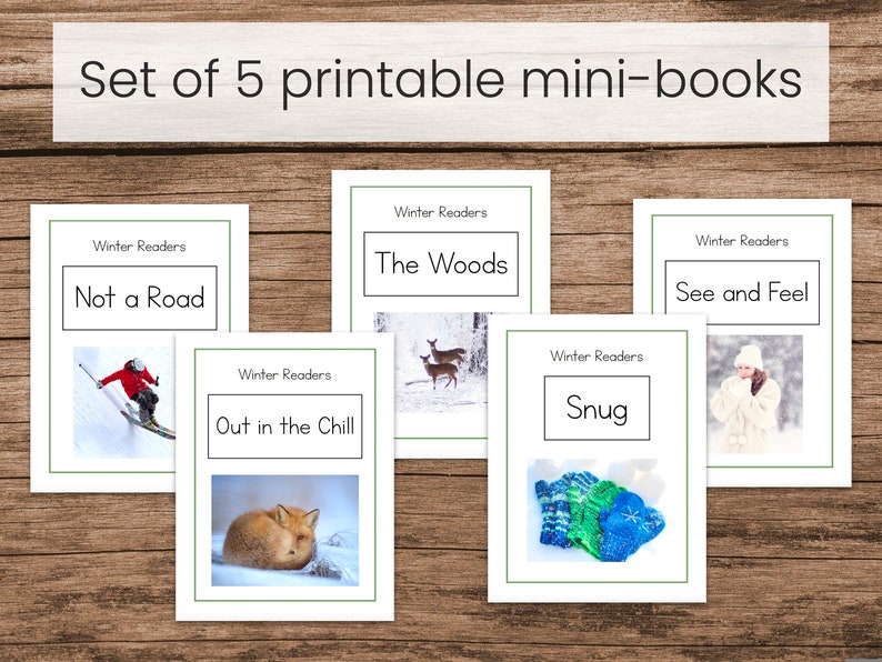 Winter Green Series Phonogram Readers (montessori Decodable Books) - Etsy