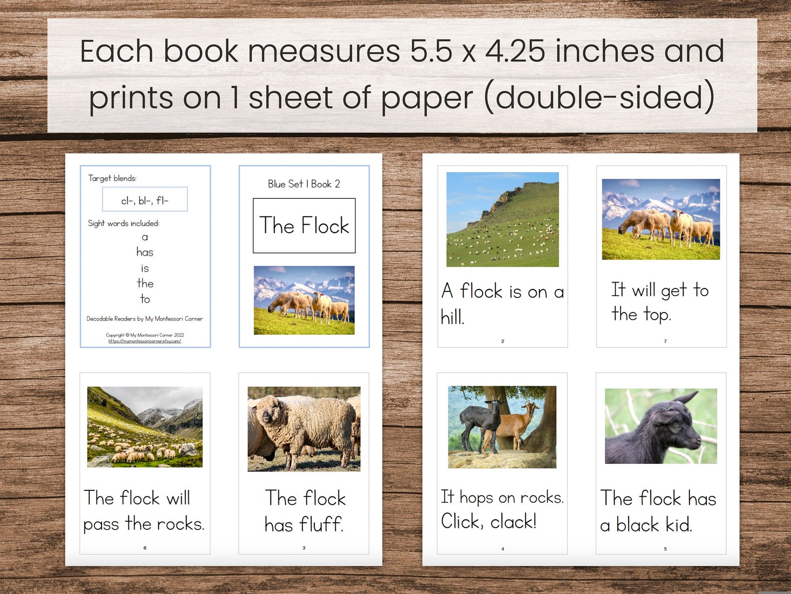 Montessori Blue Series Readers Set 1 (decodable Phonetic Books) - Etsy