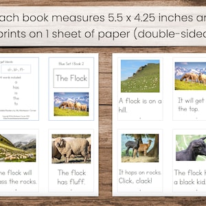 Montessori Blue Series Readers Set 1 (decodable Phonetic Books) - Etsy