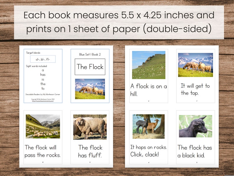 Montessori Blue Series Readers Set 1 (decodable Phonetic Books) - Etsy