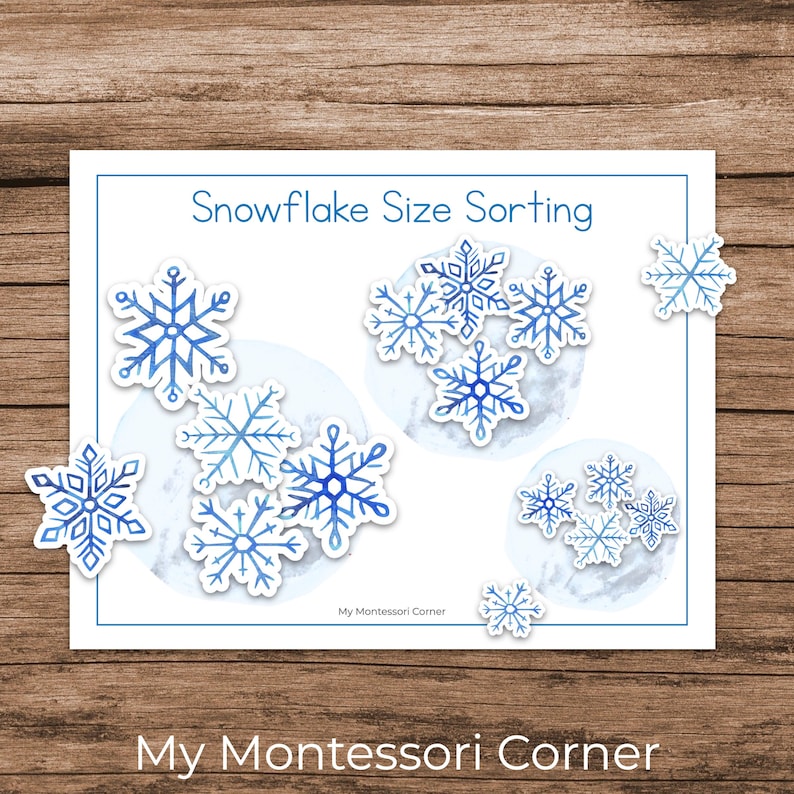 Winter Matching and Sorting Activities (montessori Preschool Binder ...