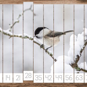 Winter Forest Skip Counting Puzzles (montessori Math Printable) - Etsy