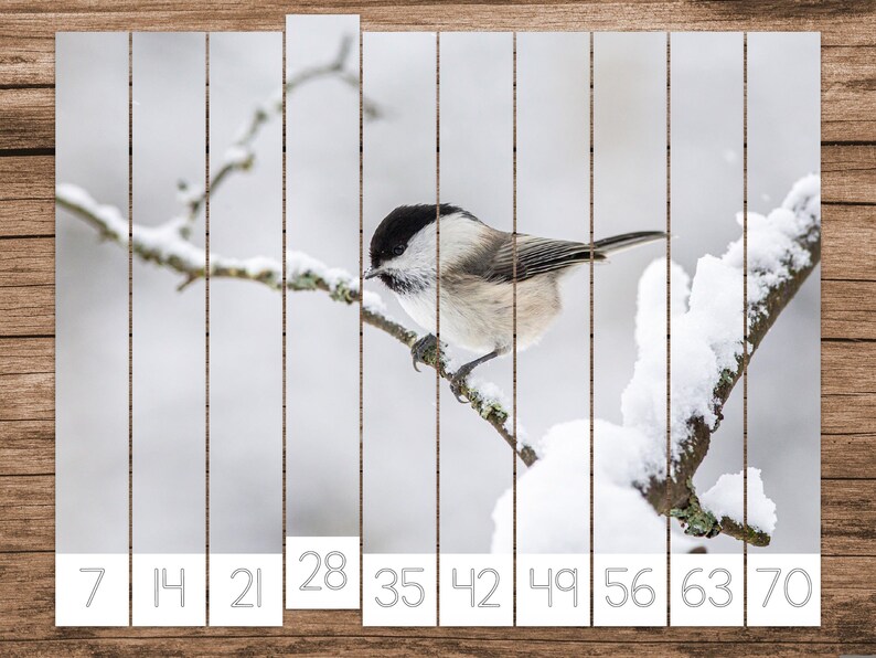 Winter Forest Skip Counting Puzzles (montessori Math Printable) - Etsy