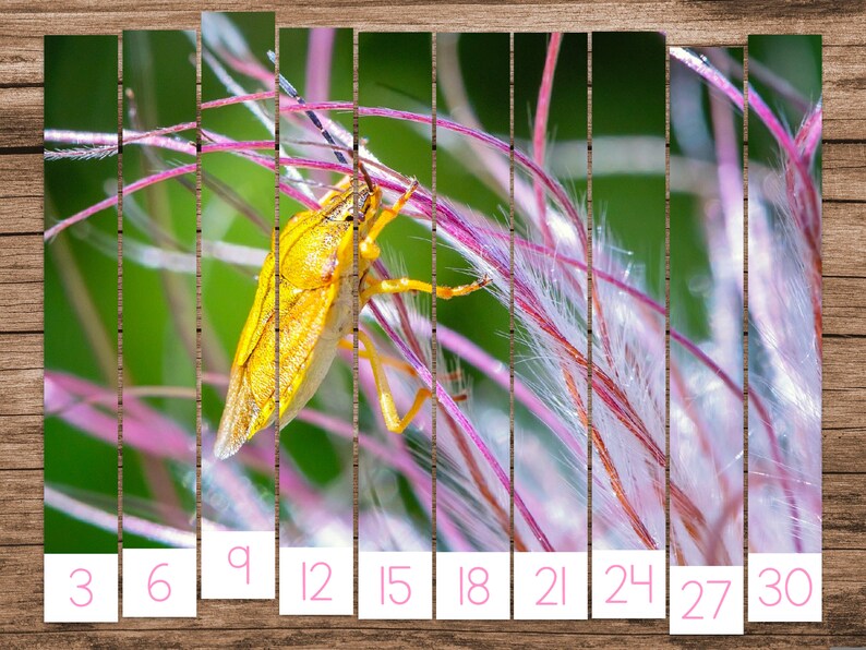 Summer Skip Counting Puzzles - Insects and Minibeasts (montessori Math ...