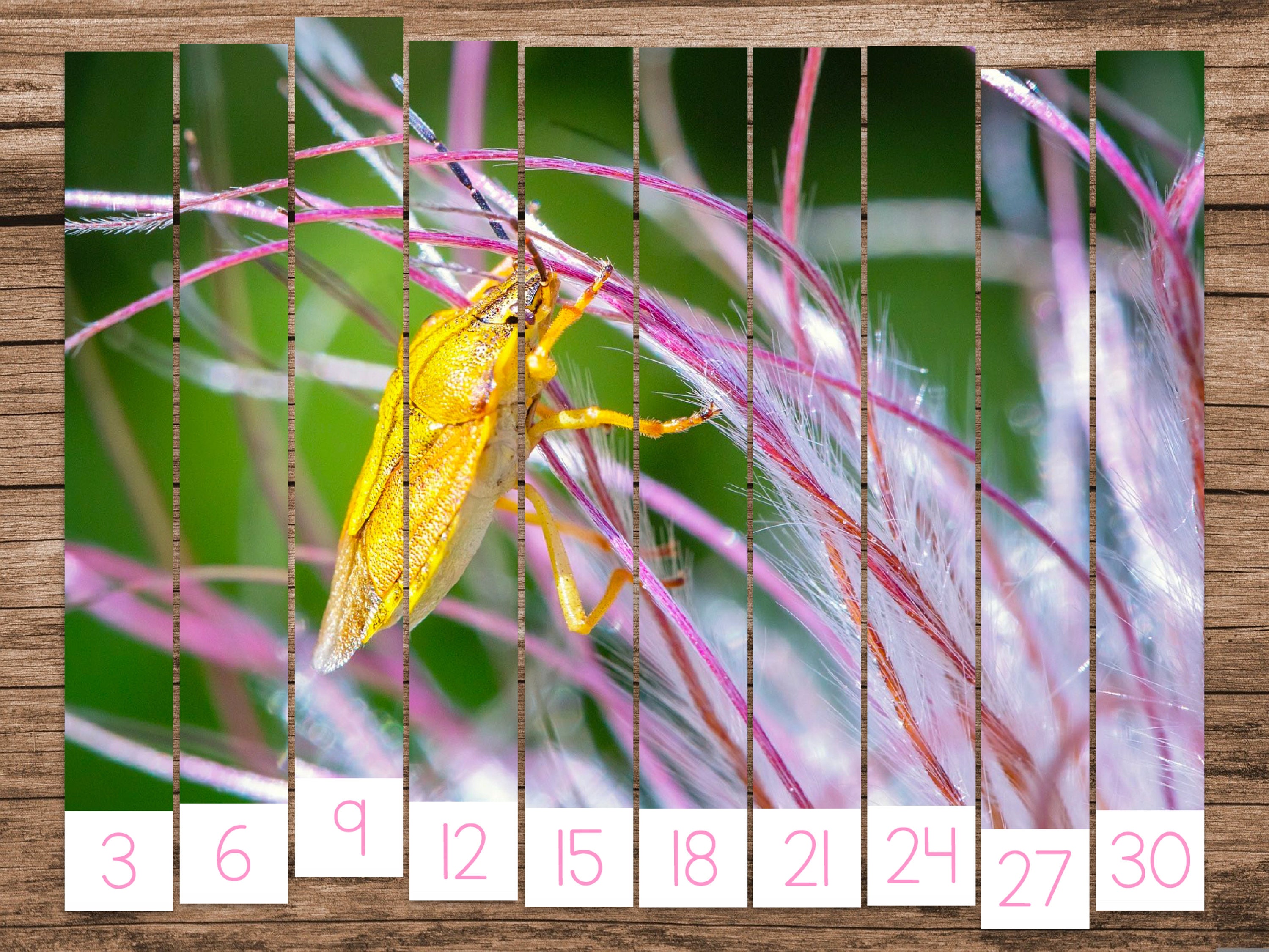 Summer Skip Counting Puzzles Insects and Minibeasts montessori Math ...