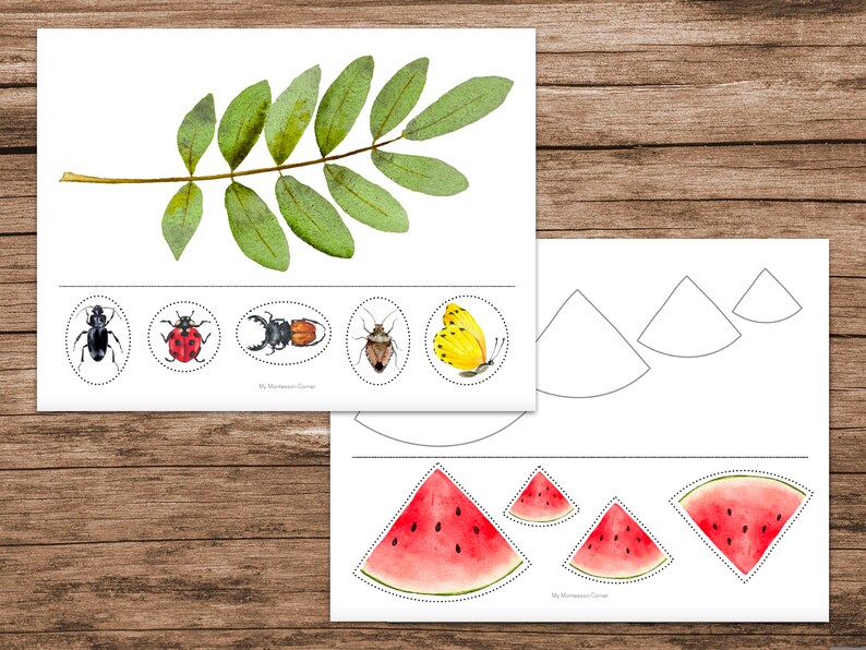 Summer Cut and Paste Activity Pack (preschool Fine Motor Printables) - Etsy