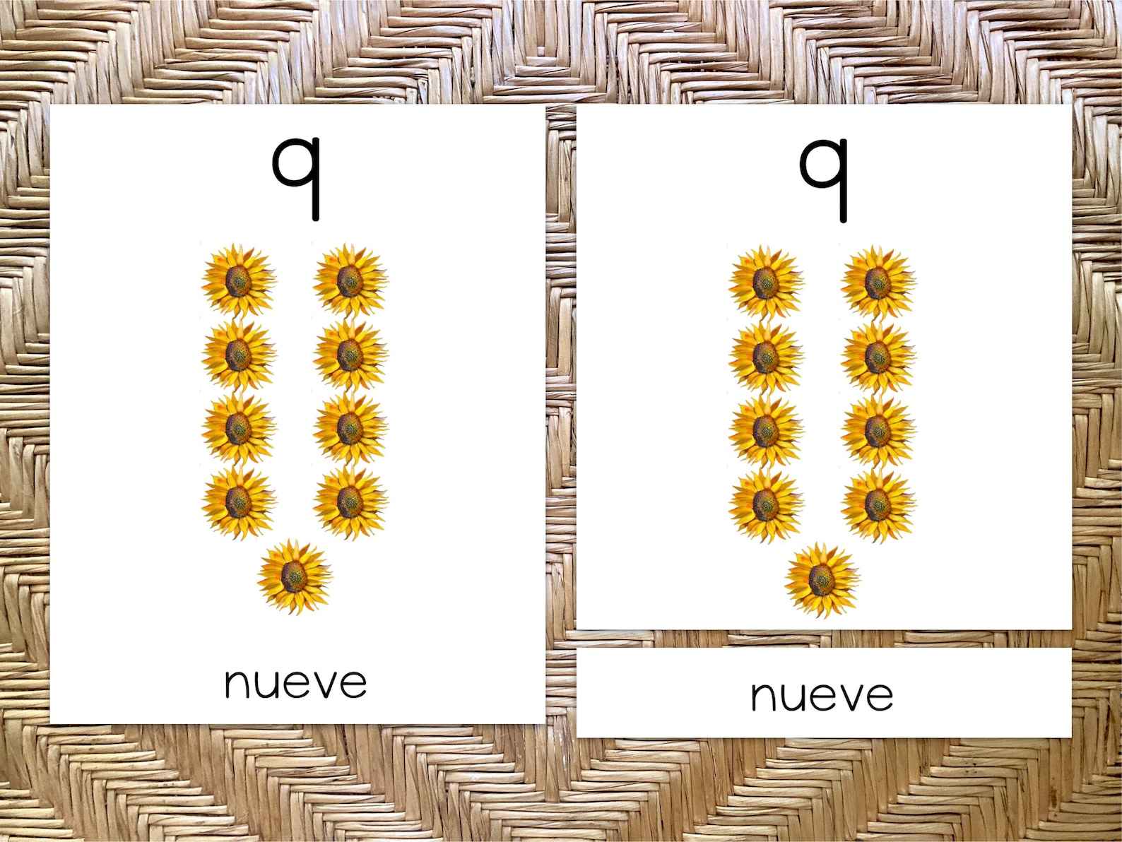 SPANISH 3-part Cards Basics Bundle: Shapes, Colors, Numbers, Nature ...