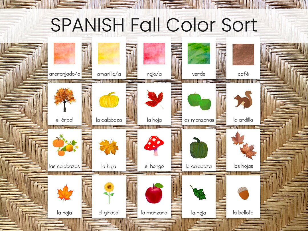 SPANISH Fall Colors Activity (montessori Sorting Cards) - Etsy