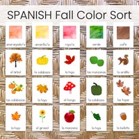 30 Fall Flashcards for Kids, Autumn-themed Vocabulary Cards, Seasonal ...