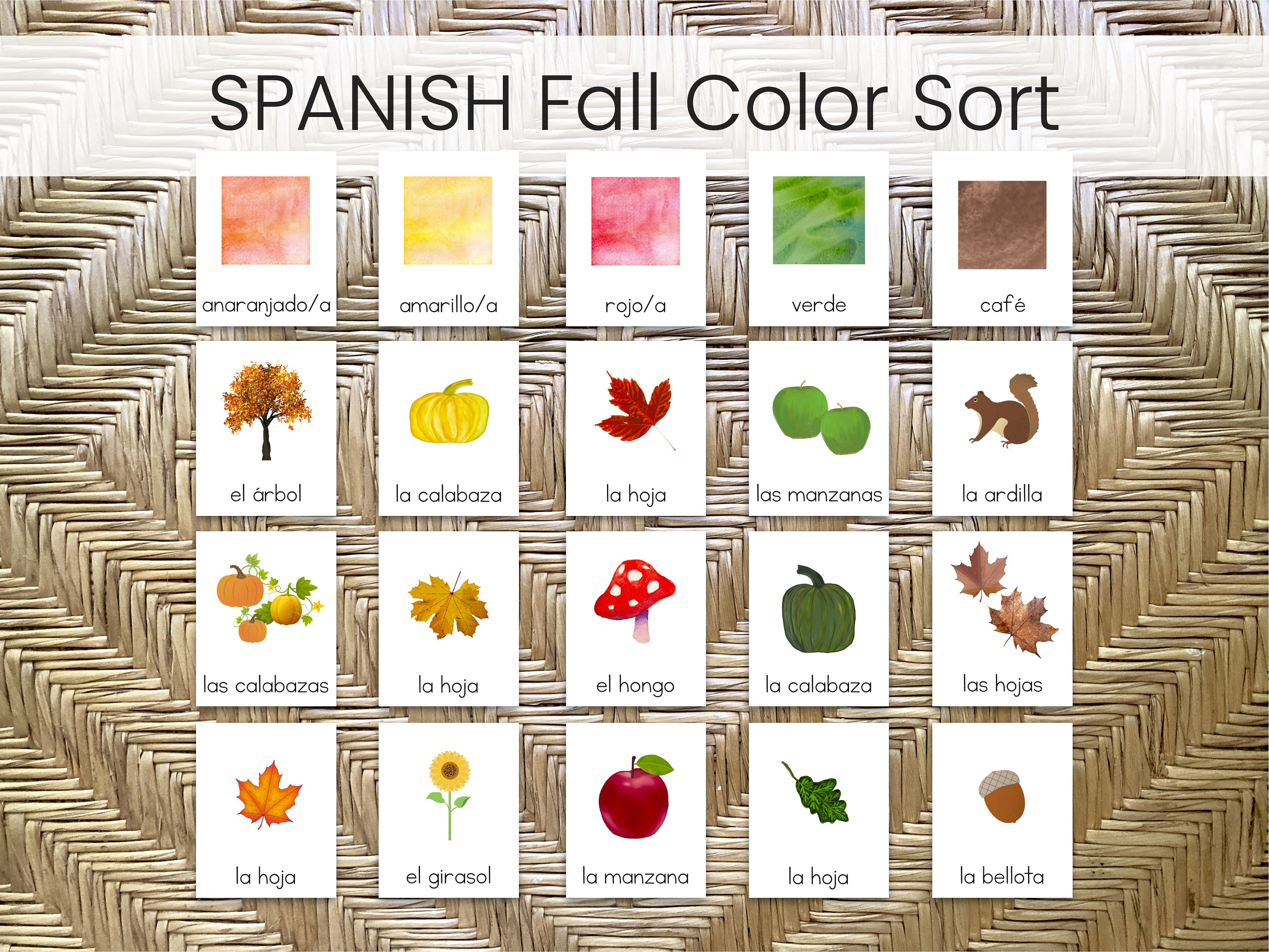 SPANISH Fall Colors Activity (montessori Sorting Cards) - Etsy