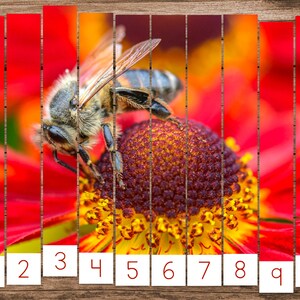 Summer Skip Counting Puzzles - Insects and Minibeasts (montessori Math ...