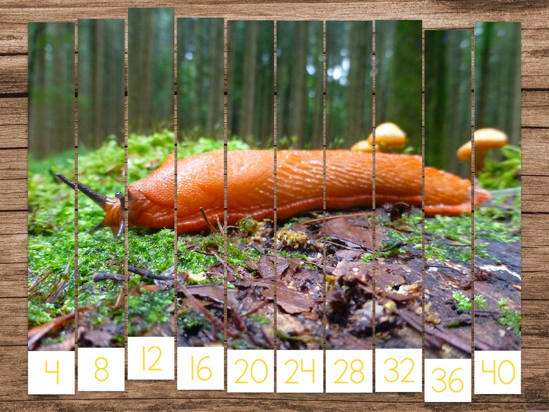 Summer Skip Counting Puzzles Insects and Minibeasts montessori Math ...