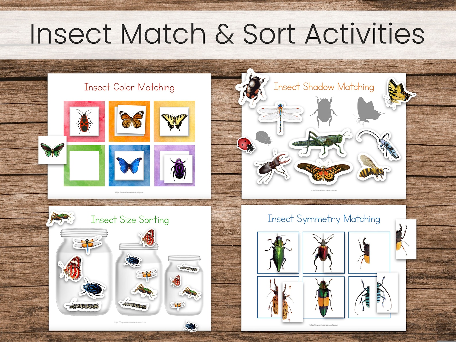 Insects Match and Sort (preschool Printable Binder Activities) - Etsy