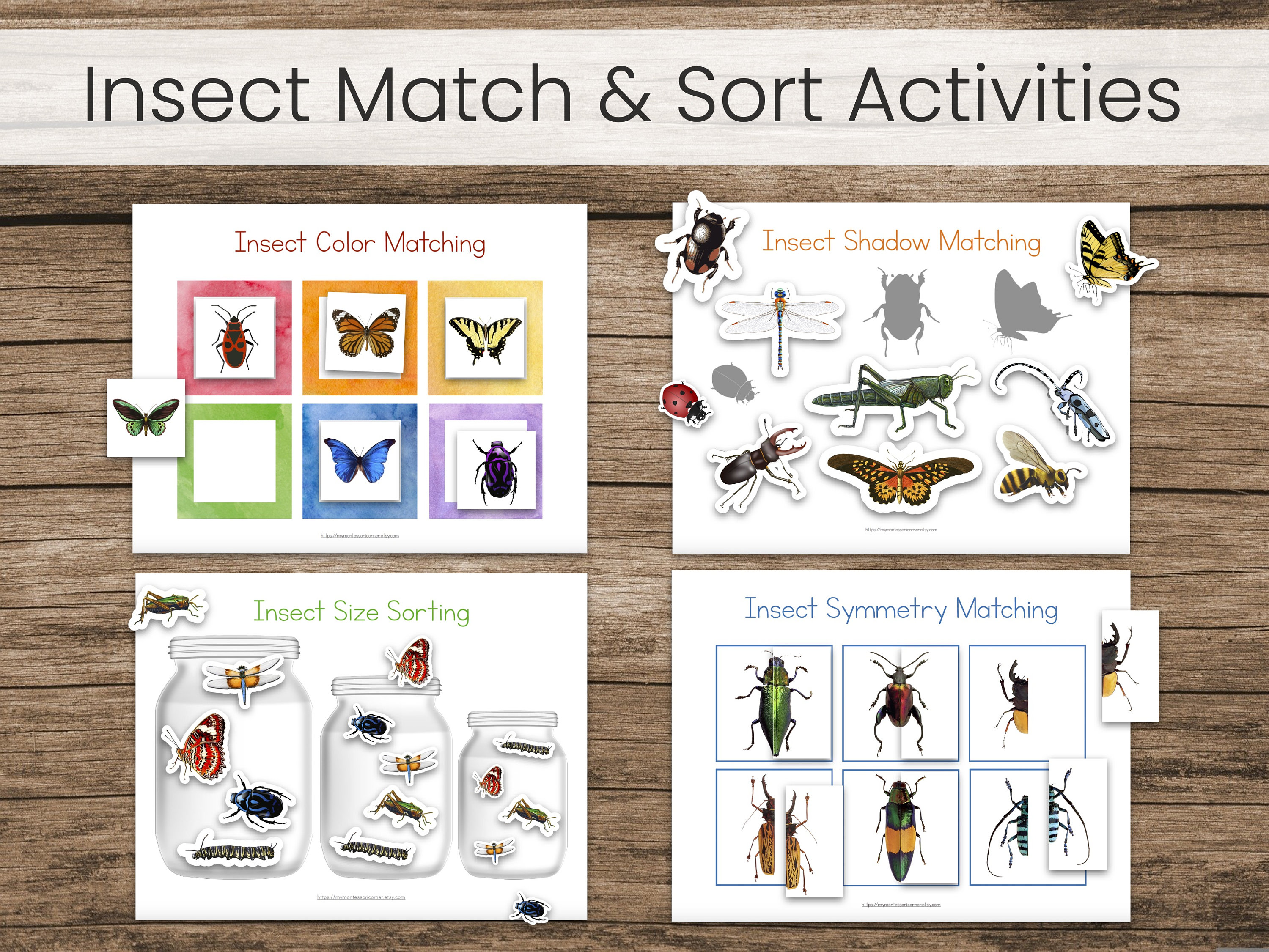 Insects Match and Sort (preschool Printable Binder Activities) - Etsy