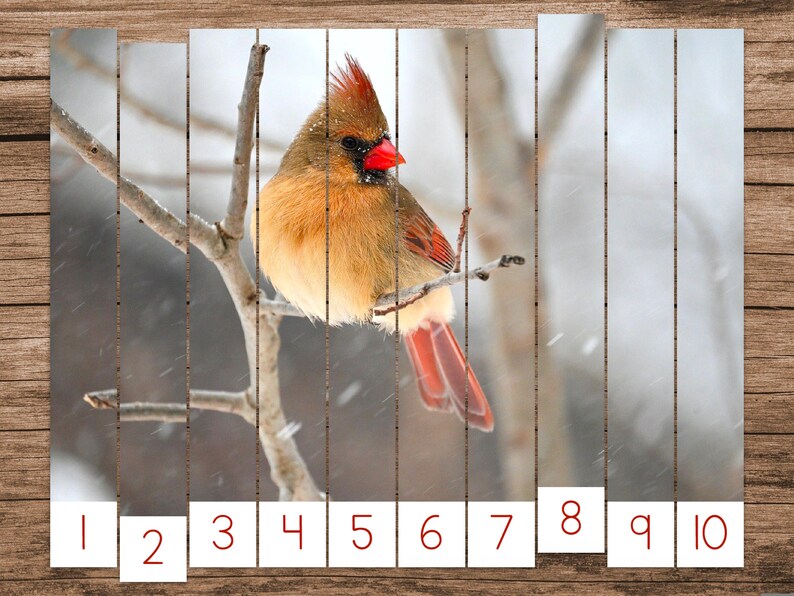 Winter Forest Skip Counting Puzzles (montessori Math Printable) - Etsy