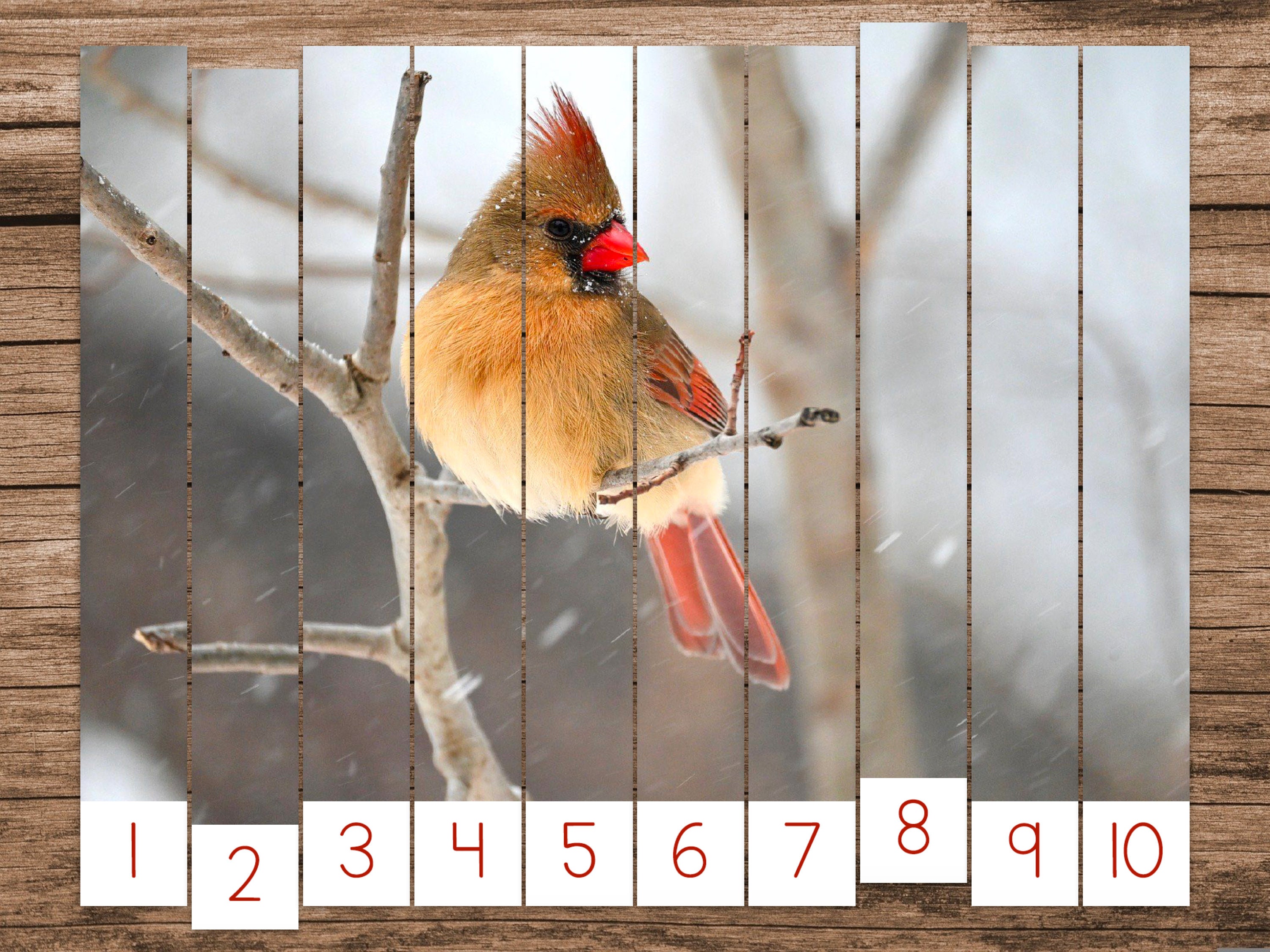 Winter Forest Skip Counting Puzzles (montessori Math Printable) - Etsy