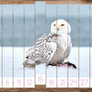 Winter Birds Skip Counting Puzzles (montessori Math Printable) - Etsy