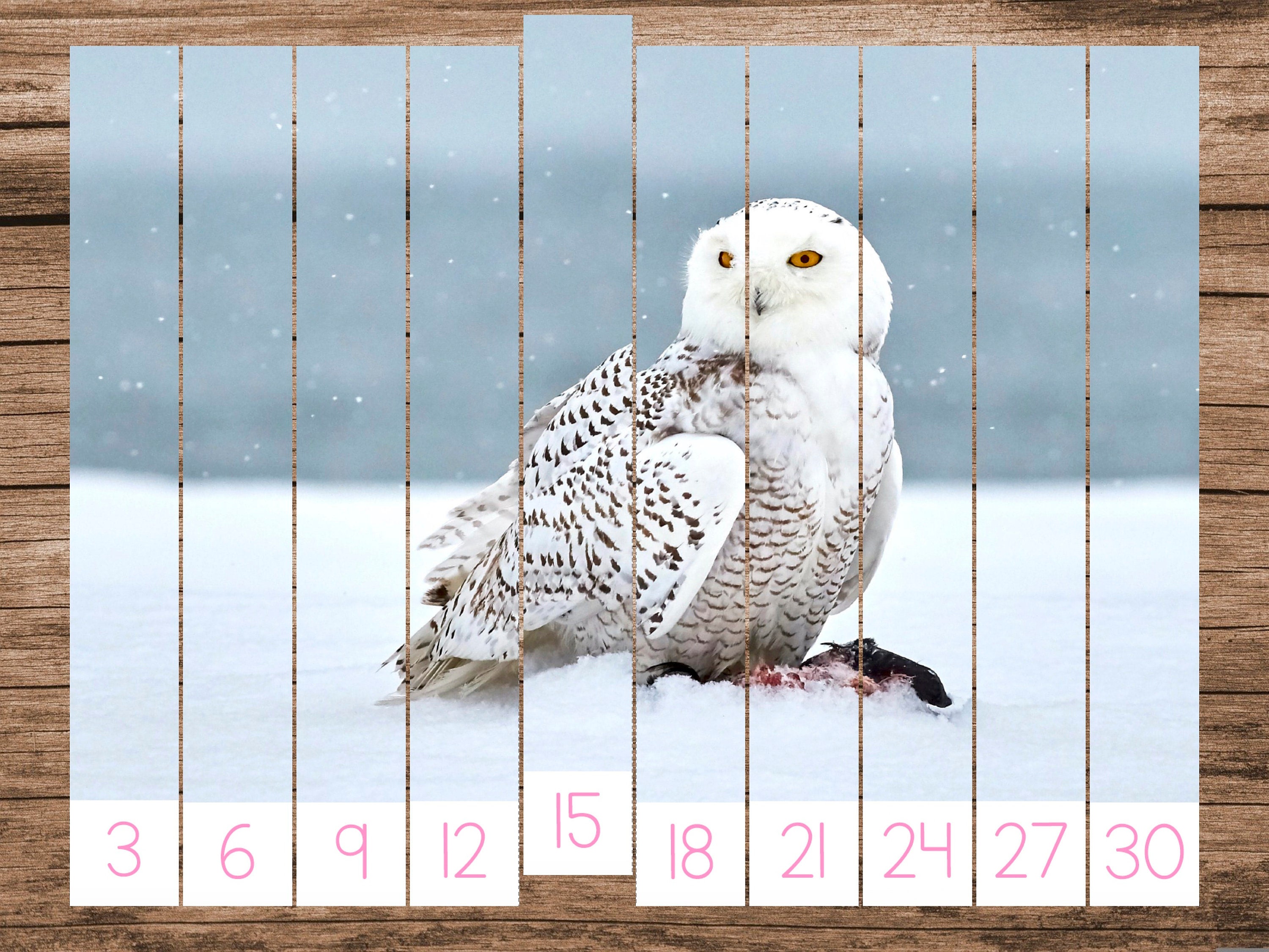 Winter Birds Skip Counting Puzzles (montessori Math Printable) - Etsy