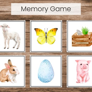 Spring Preschool Activity Bundle (montessori Printable Materials) - Etsy