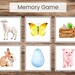 Spring Preschool Activity Bundle montessori Printable Materials - Etsy