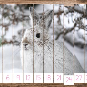 Winter Forest Skip Counting Puzzles (montessori Math Printable) - Etsy