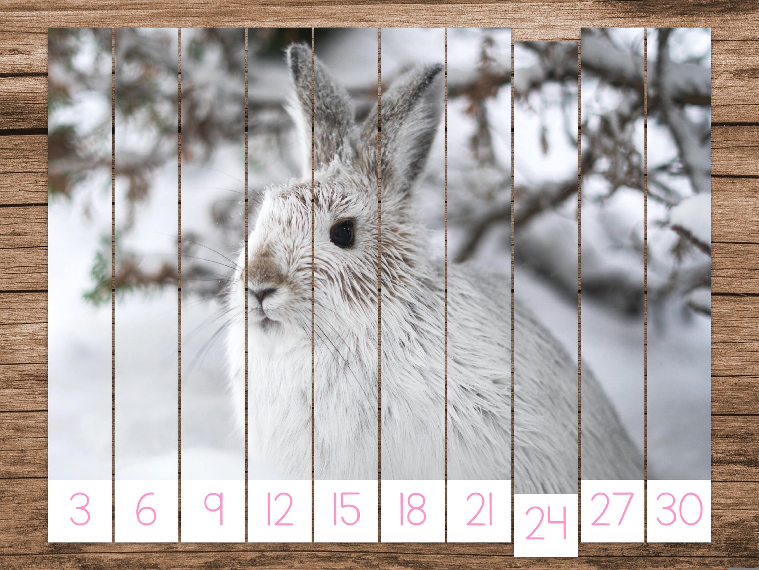 Winter Forest Skip Counting Puzzles (montessori Math Printable) - Etsy