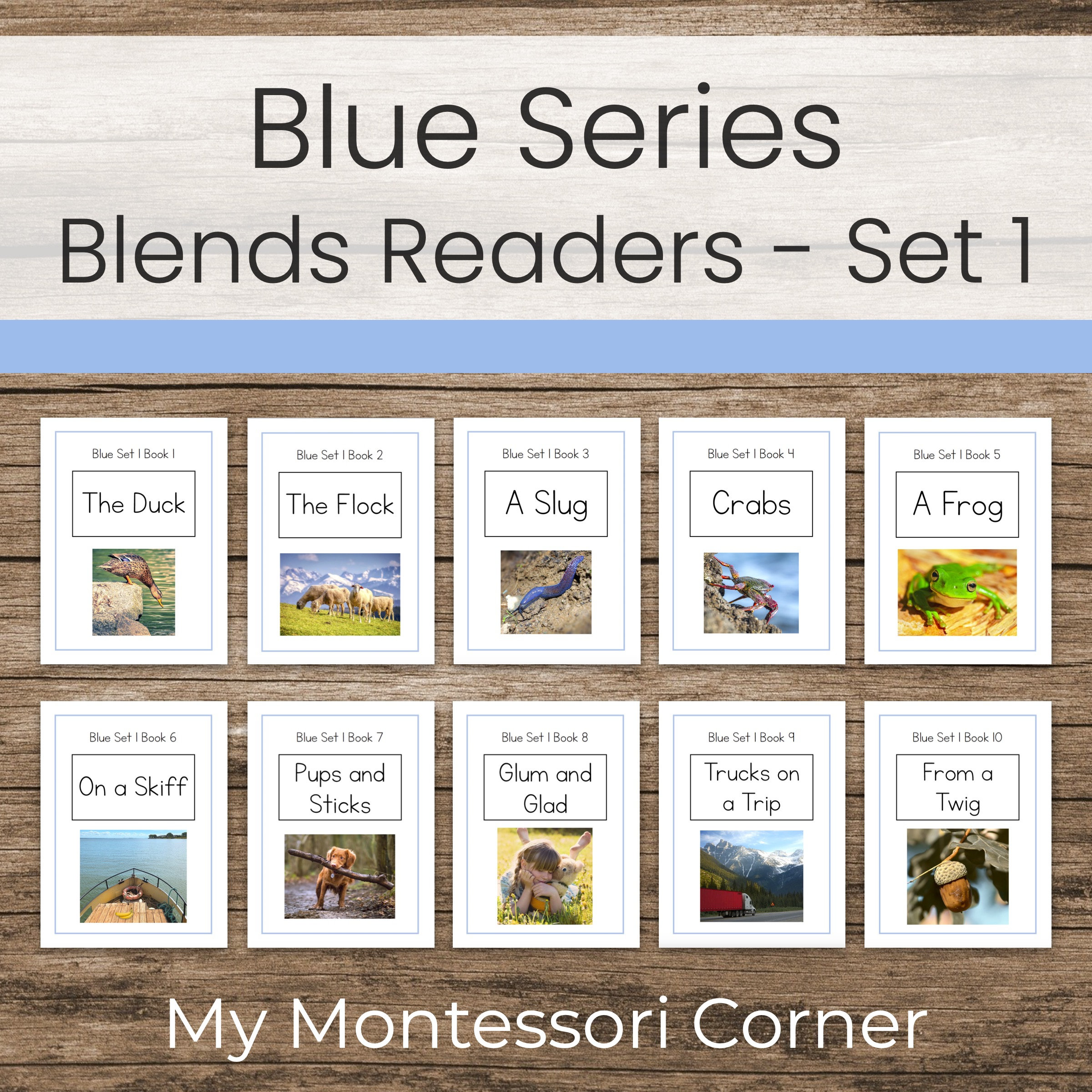 Montessori Blue Series Readers Set 1 (decodable Phonetic Books) - Etsy