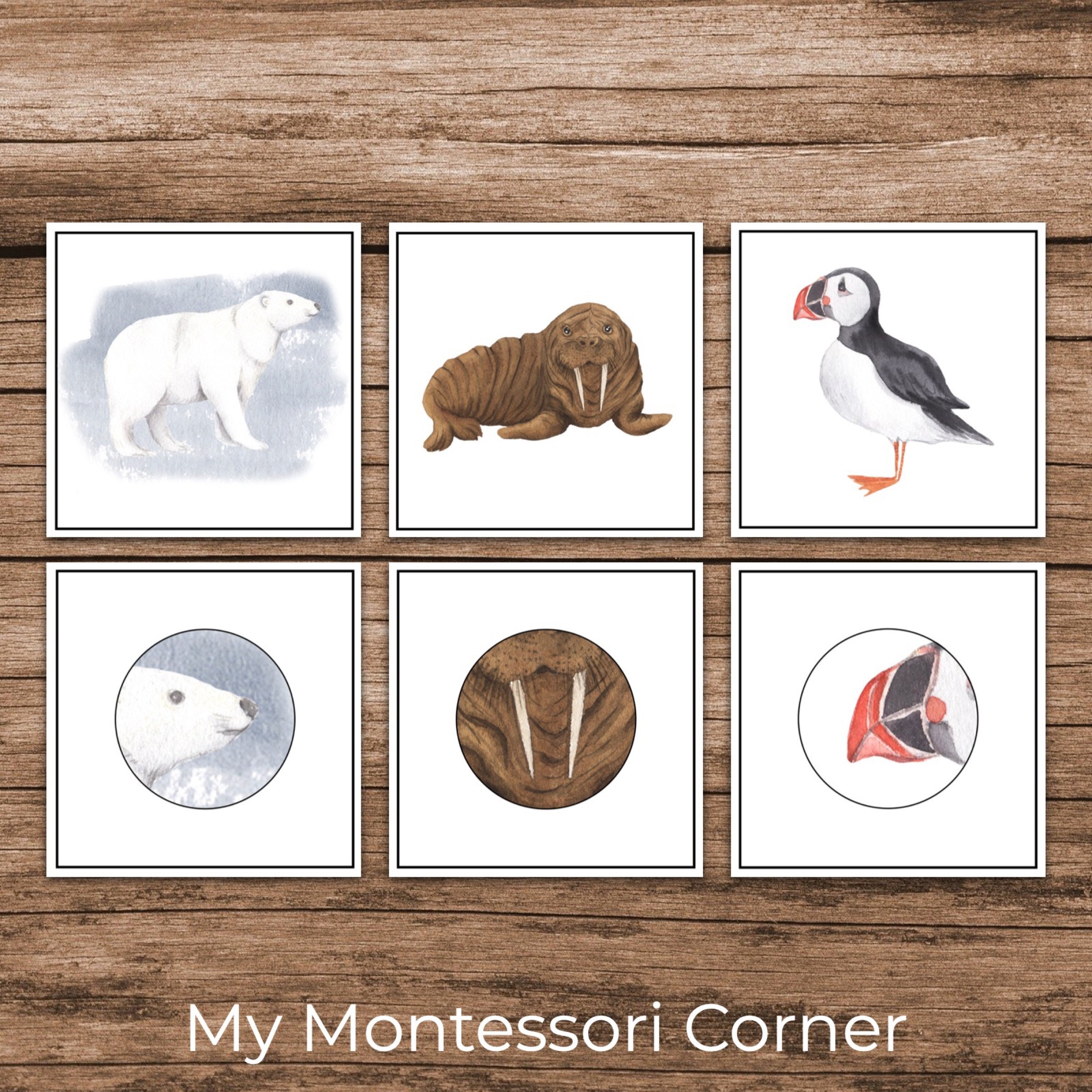 Arctic Animals I Spy Part-to-whole Matching Cards, Montessori Preschool ...