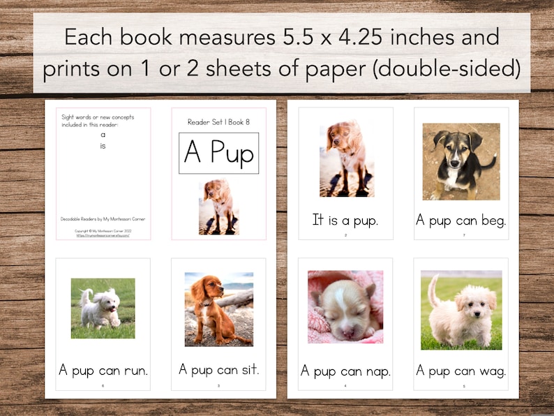 Montessori Pink Series Readers Bundle (CVC Decodable Books) - Etsy