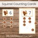Fall Squirrels Number and Counting Cards Activity (montessori Preschool ...