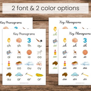 Montessori Alphabet and Key Phonogram Charts - Red, Blue, & Green ...
