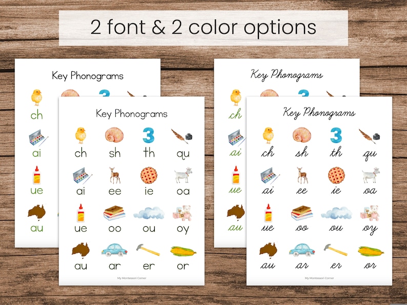 Montessori Alphabet and Key Phonogram Charts - Red, Blue, & Green ...