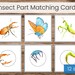 Spring Busy Binder, Preschool Matching Activities Printable Updated - Etsy