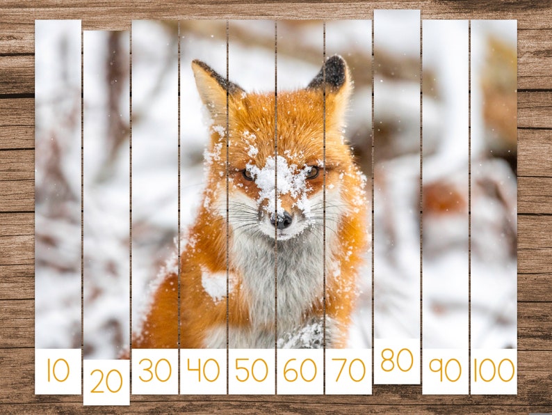 Winter Forest Skip Counting Puzzles (montessori Math Printable) - Etsy