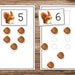 Fall Squirrels Number and Counting Cards Activity (montessori Preschool ...