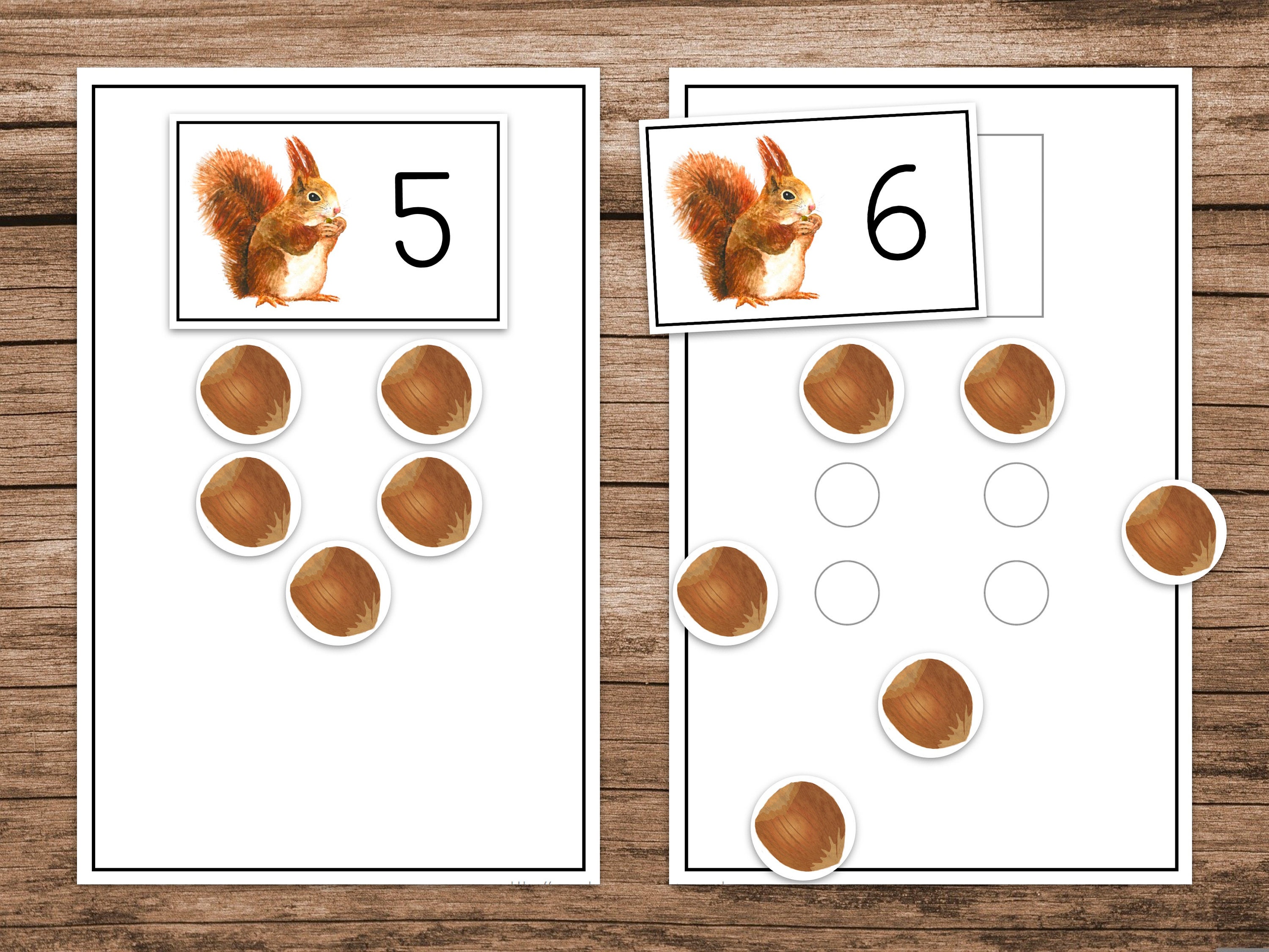 Fall Squirrels Number and Counting Cards Activity (montessori Preschool ...