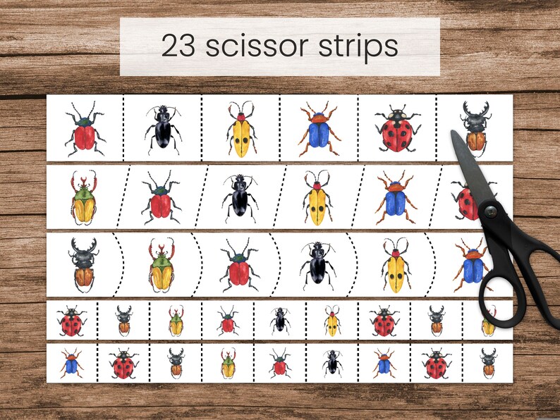 Beetle Scissors Strips and Puzzles (insects Fine Motor Activity ...