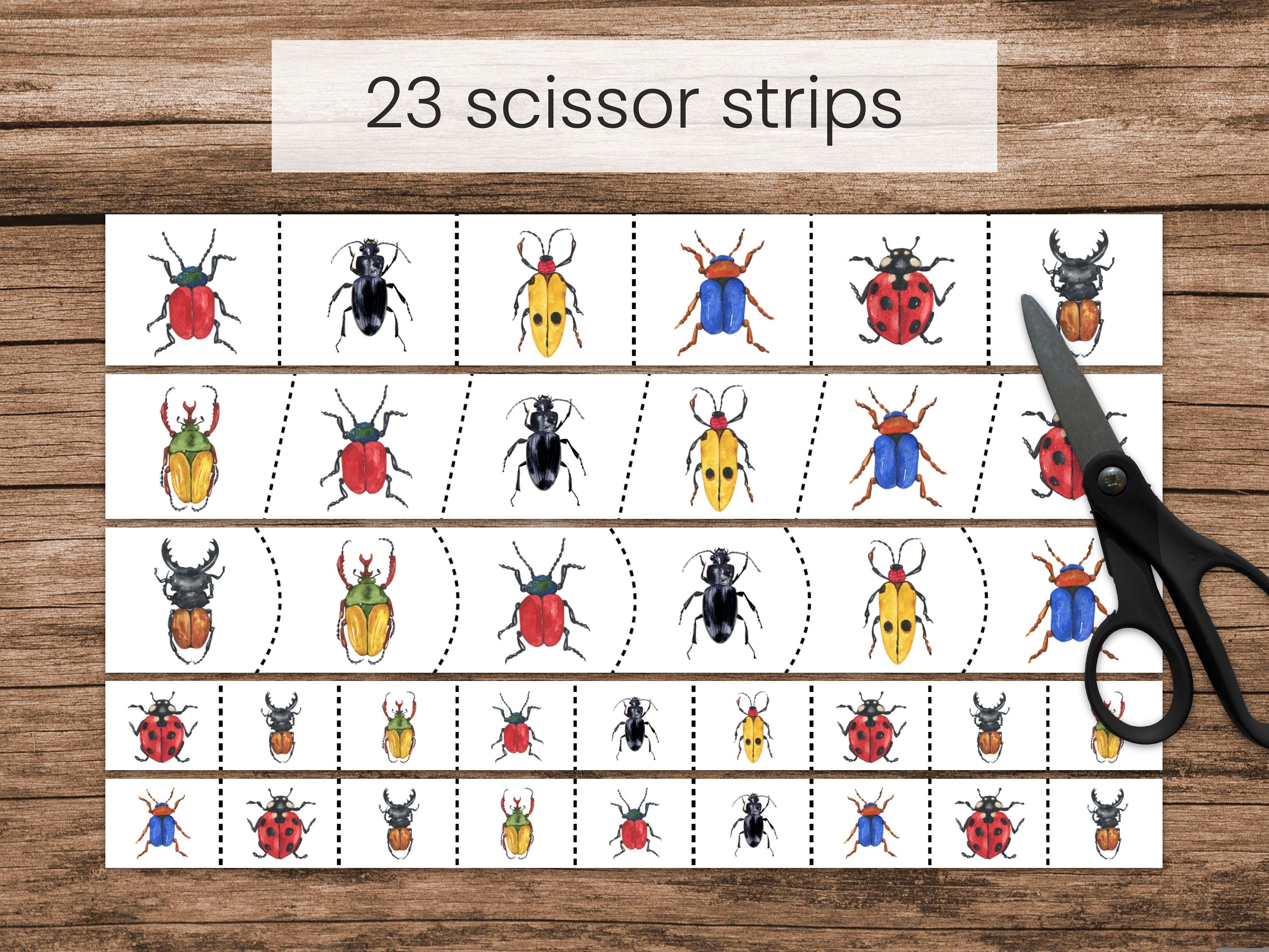Beetle Scissors Strips and Puzzles insects Fine Motor Activity ...