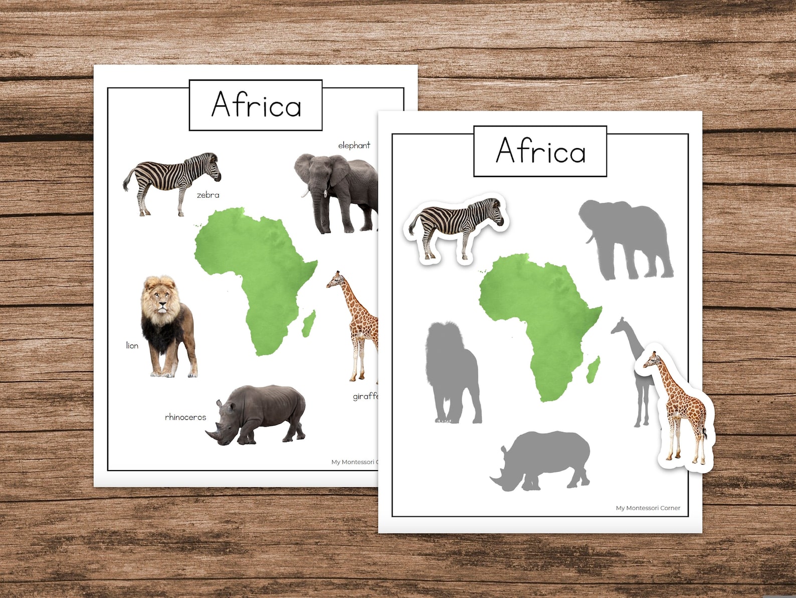 Animals of the Continents Shadow Matching, Sorting, and Posters, Real ...