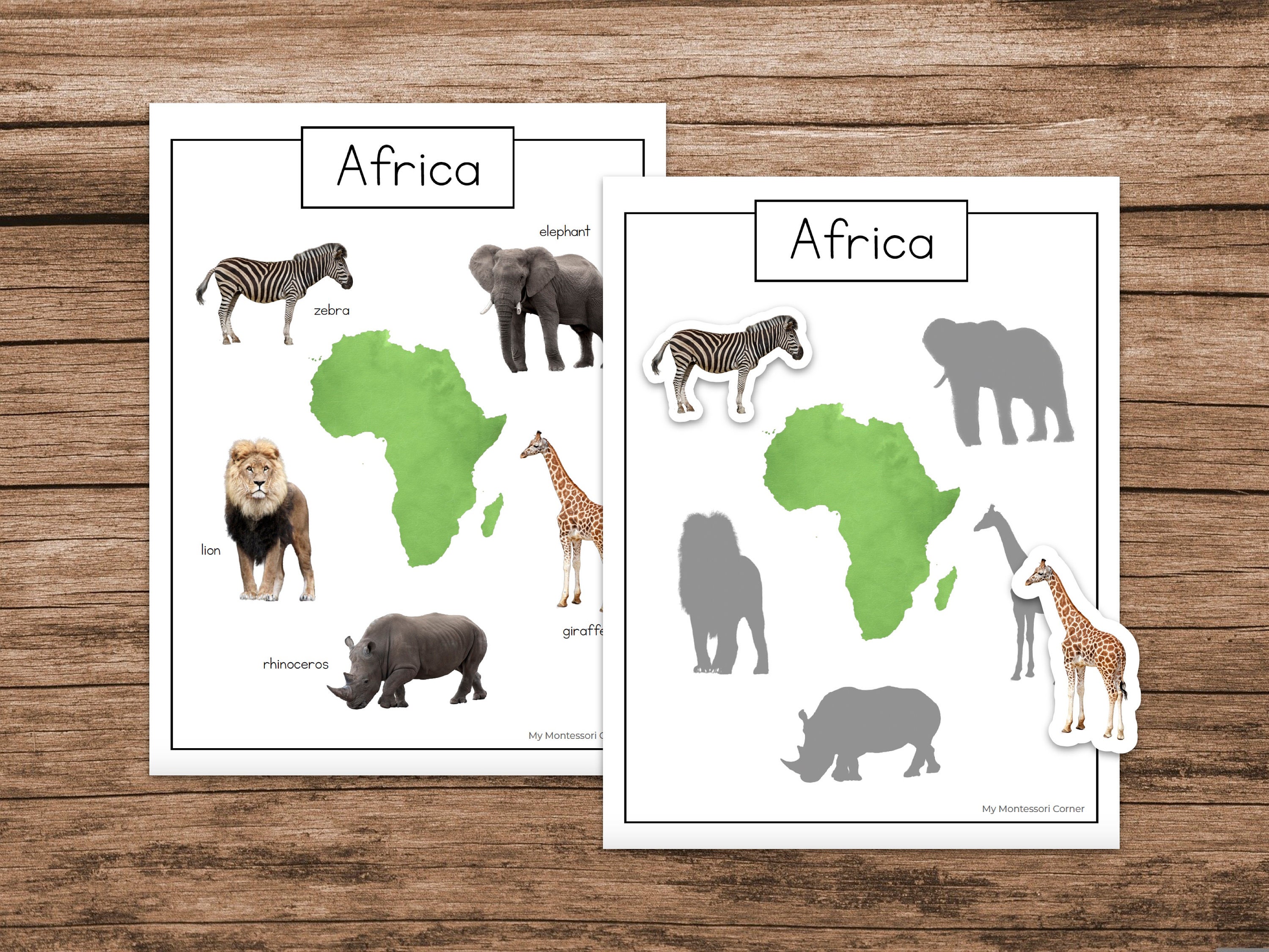 Animals of the Continents Shadow Matching, Sorting, and Posters, Real ...