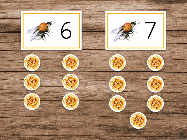 Bees & Flowers Numbers and Counters Activity (montessori Preschool Math ...