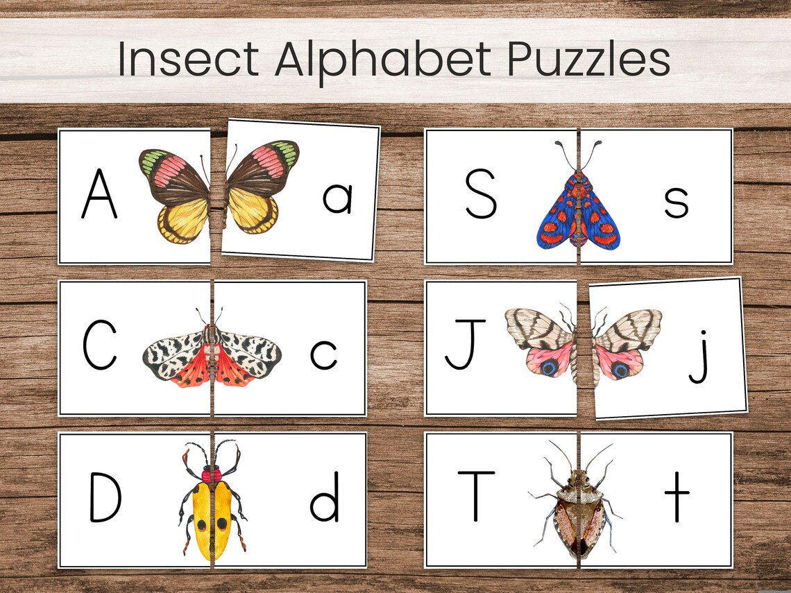 Insect Alphabet Uppercase Lowercase Matching Puzzle Cards, Preschool ...