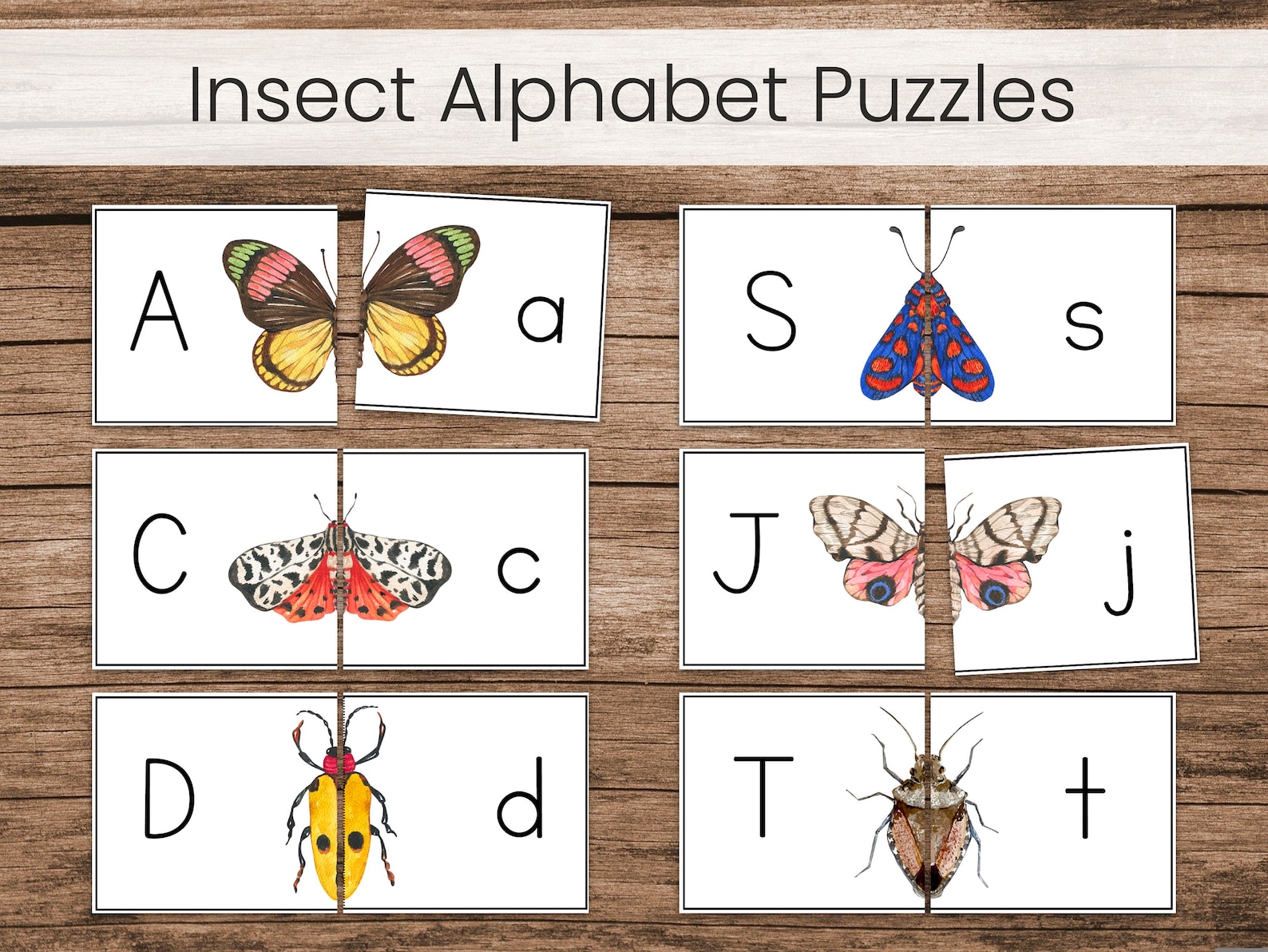 Insect Alphabet Uppercase Lowercase Matching Puzzle Cards, Preschool ...