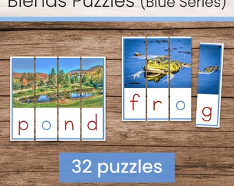 Printable Montessori Blue Series Photos and Word Cards Word Lists in ...